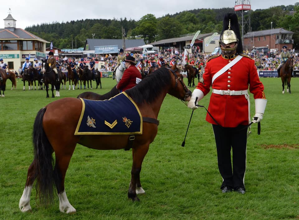 Mascot Promoted! – 1st The Queen's Dragoon Guards